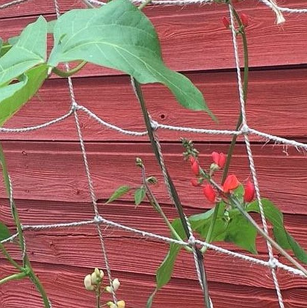 Plastic-free Gardening Products – Gardening without Plastic