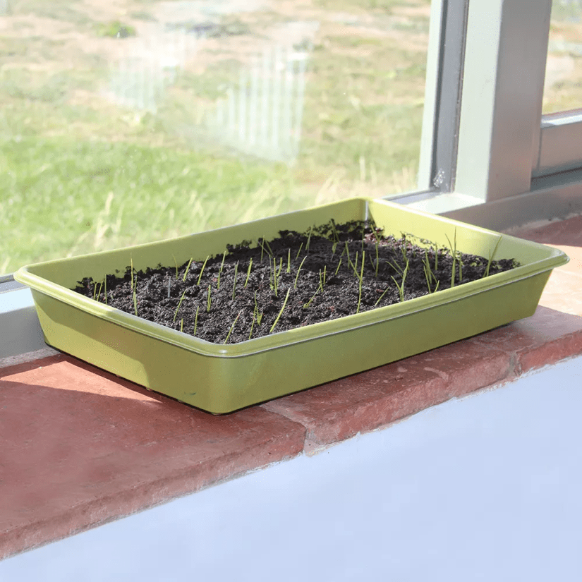 Plastic-free Gardening Products – Gardening without Plastic